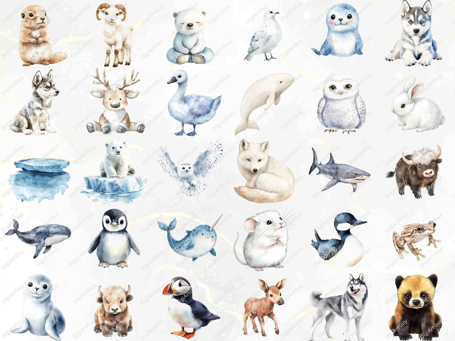 Arctic Animal Clipart Watercolor Winter Animal PNG Polar Animals Wild ...