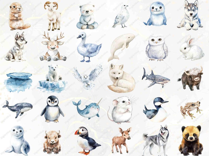Arctic Animal Clipart Watercolor Winter Animal PNG Polar Animals Wild ...