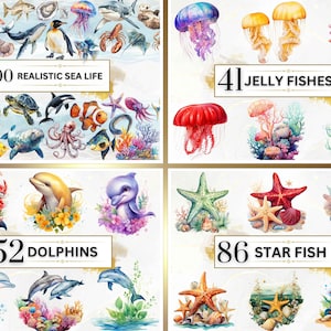 Sea Animals Clipart Bundle - 1200 Under the Sea Pngs, Cute Sea Animals ...