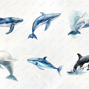 Whale Clipart Watercolor Whales PNG, Under the Sea PNG Cute Sea Animals ...