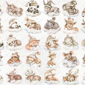 Cute Animal Clipart Watercolor Animal PNG Woodland Animal Clipart Cute ...