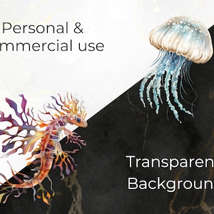 Watercolor Sea Animal Clipart Realistic Sea Animals PNG Under the Sea ...