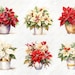 Floral Clipart Bundle 163 Watercolor Flower Clipart Festive - Etsy
