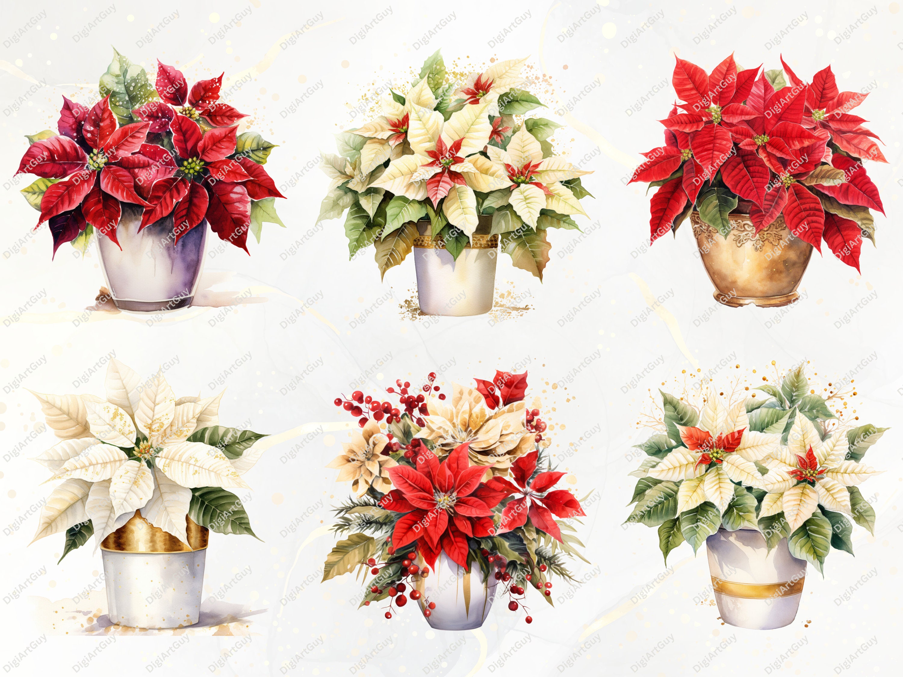 Floral Clipart Bundle 163 Watercolor Flower Clipart Festive - Etsy