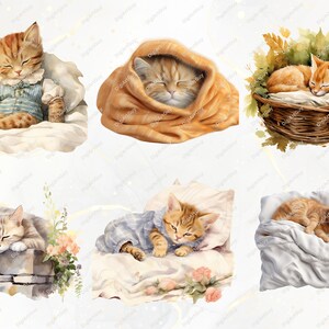 Sleepy Cats PNG Bundle - 61 Cats Clipart Pngs, Cats Clipart, Animals ...