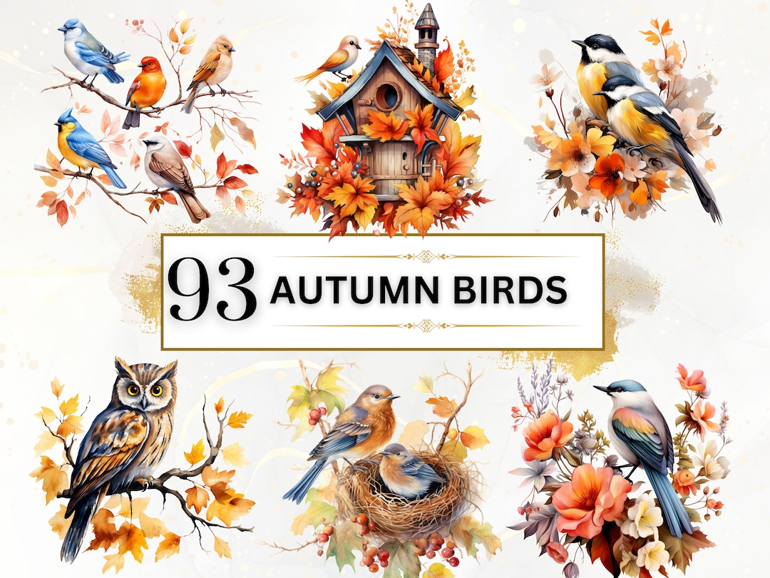 Birds Bundle - 93 Autumn Birds Clipart Pngs, Fall Watercolor Clipart ...