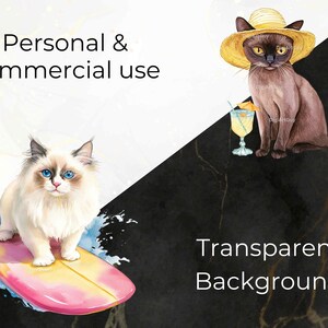 Summer Cat PNG Cat Breeds PNG Bundle Tropical Summer Clipart Watercolor ...