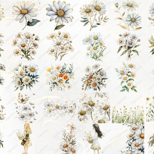 Daisy Clipart Watercolor Spring Clipart Flower Clipart Wild Flower PNG ...