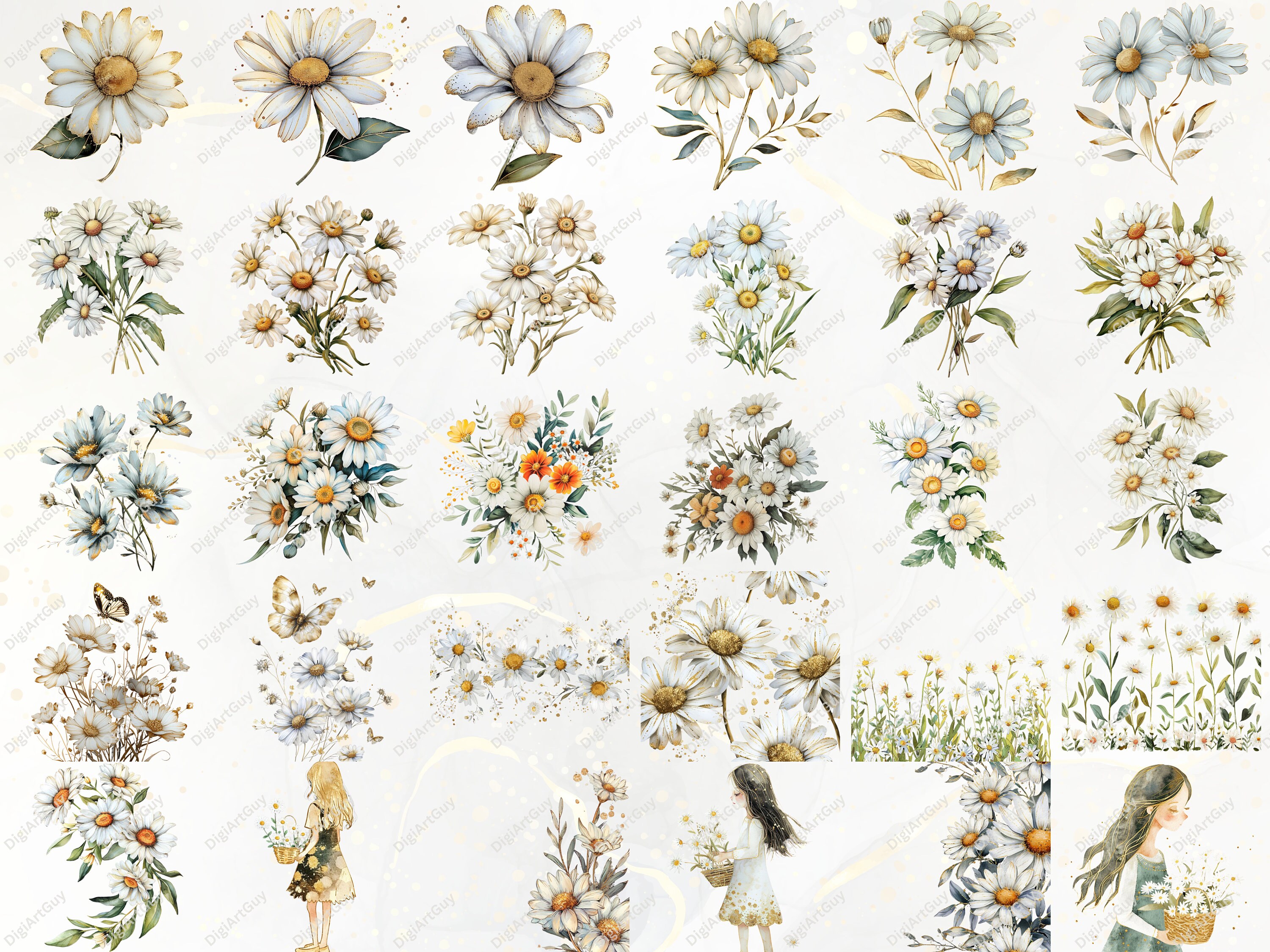Daisy Clipart Watercolor Spring Clipart Flower Clipart Wild Flower PNG ...