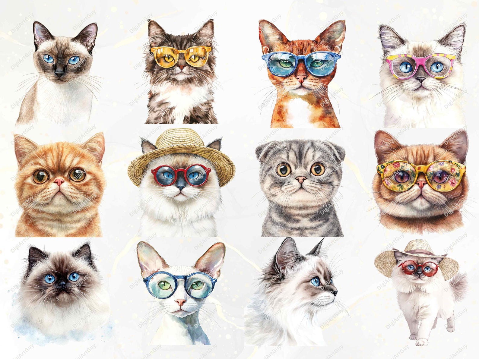 Summer Cat PNG Cat Breeds PNG Bundle Tropical Summer Clipart Watercolor ...