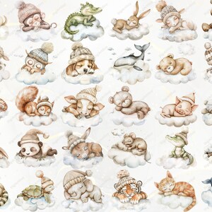 Cute Animal Clipart Watercolor Animal PNG Woodland Animal Clipart Cute ...