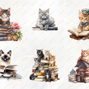 Book Cats PNG Bundle - 55 Cats Clipart Pngs, Cats Clipart, Animals ...