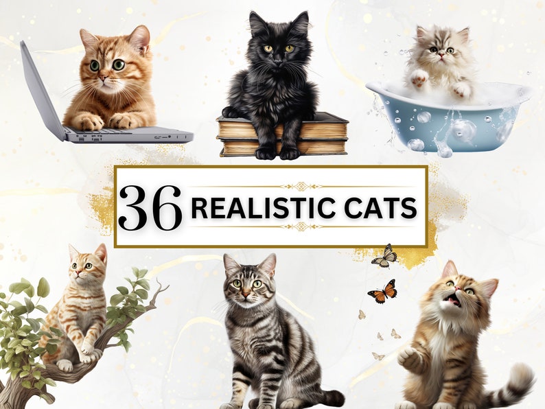 Ultra Realistic Cats PNG Bundle - 36 Cats Clipart Pngs, Cats Clipart ...