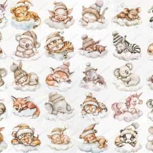 Cute Animal Clipart Watercolor Animal PNG Woodland Animal Clipart Cute ...