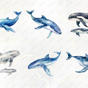 Whale Clipart Watercolor Whales PNG, Under the Sea PNG Cute Sea Animals ...