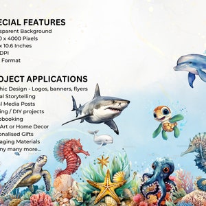 Sea Animals Clipart Bundle - 1200 Under the Sea Pngs, Cute Sea Animals ...