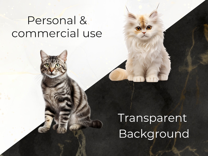 Ultra Realistic Cats PNG Bundle 36 Cats Clipart Pngs Cats - Etsy