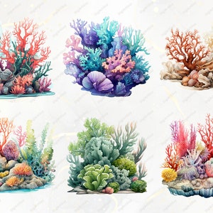 Coral Reef Clipart - 70 Sea Coral PNG, Under the Sea PNG, Tropical Reef ...