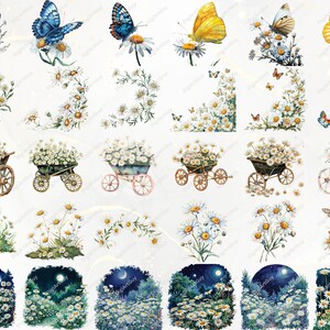 Daisy Clipart Watercolor Spring Clipart Flower Clipart Wild Flower PNG ...