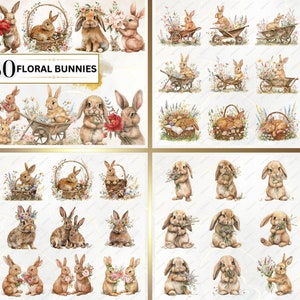 Rabbit Clipart Bunny Clipart Cute Rabbit PNG Animal Clipart Cute Bunny ...