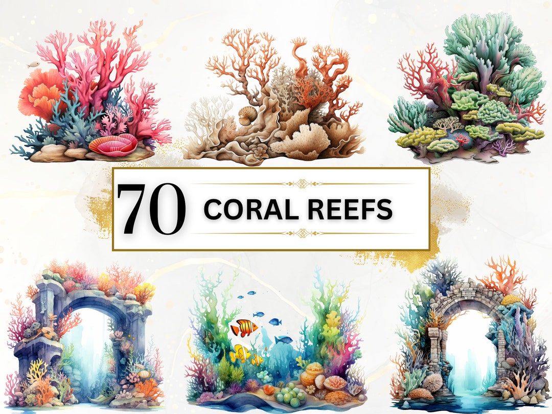 Coral Reef Clipart - 70 Sea Coral PNG, Under the Sea PNG, Tropical Reef ...