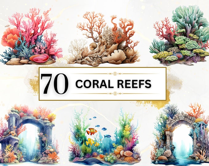 Ocean Layers Printable, Ocean Zones, Pelagic Zones, Learn About the ...