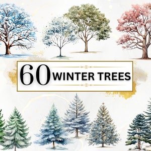 Trees Clipart Bundle - 60 Watercolor Winter Clipart Pngs, Winter PNG ...