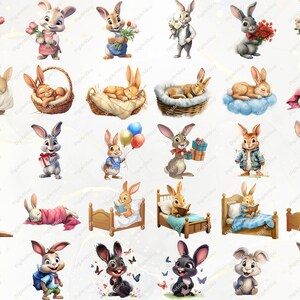 Rabbit Clipart Bunny Clipart Cute Rabbit PNG Animal Clipart Cute Bunny ...