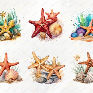 Sea Animals Clipart Bundle - 86 Starfish Clipart, Under the Sea PNG ...