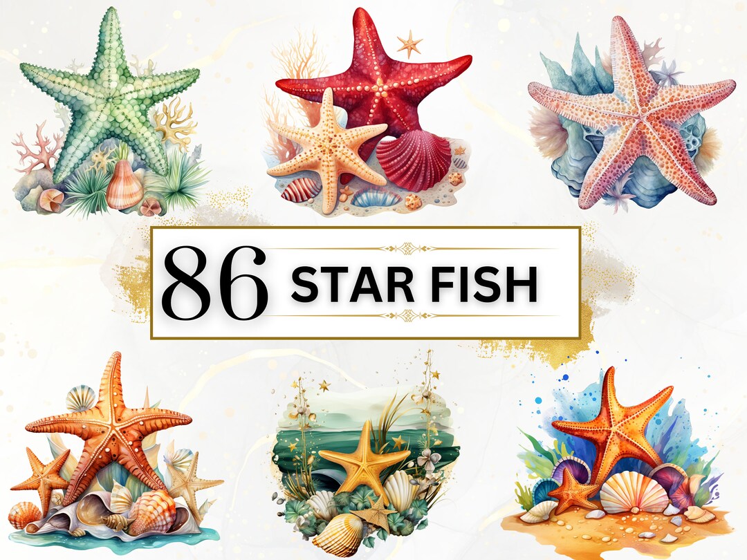 Sea Animals Clipart Bundle - 86 Starfish Clipart, Under the Sea PNG ...