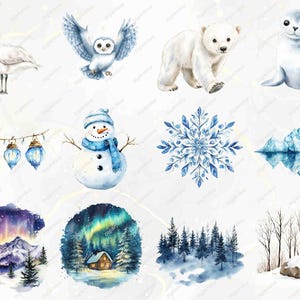 Arctic Animal Clipart Watercolor Winter Animal PNG Polar Animals Wild ...