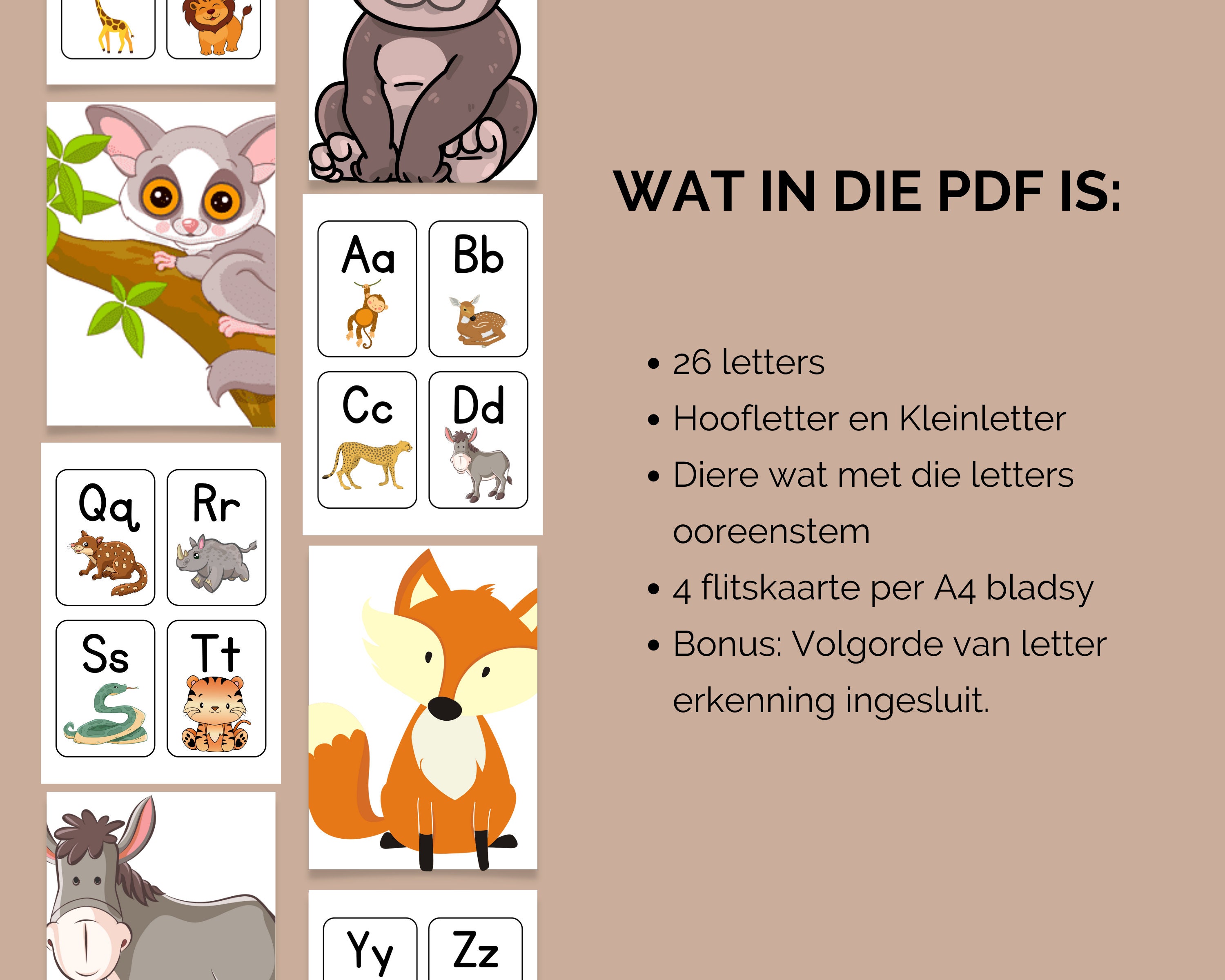 Afrikaans Alfabet: Diere Tema Klaskamer Hulpbron Tuisskool, Tuisbly ...