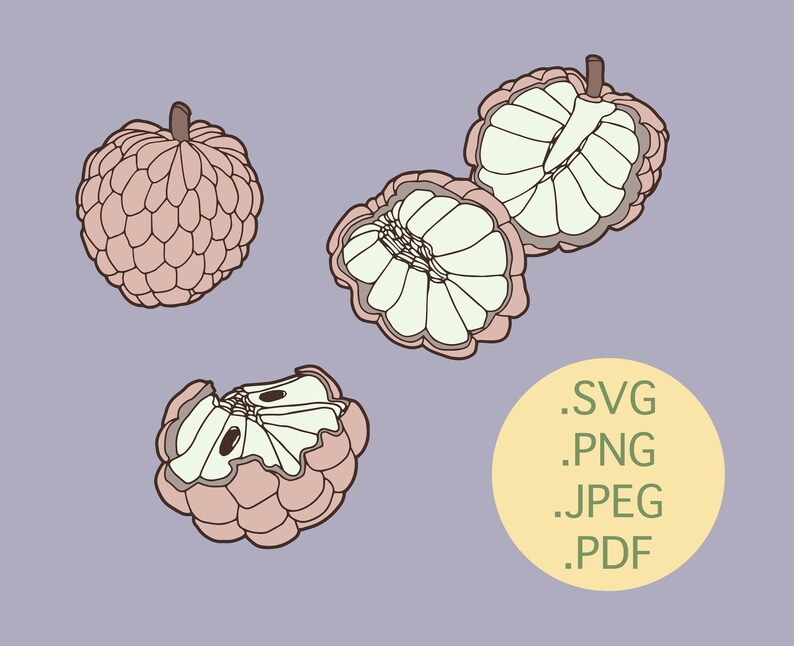 Cute Custard Apple Pink Color Way Bundle, Fruit Svg, Png, Jpeg, Pdf ...