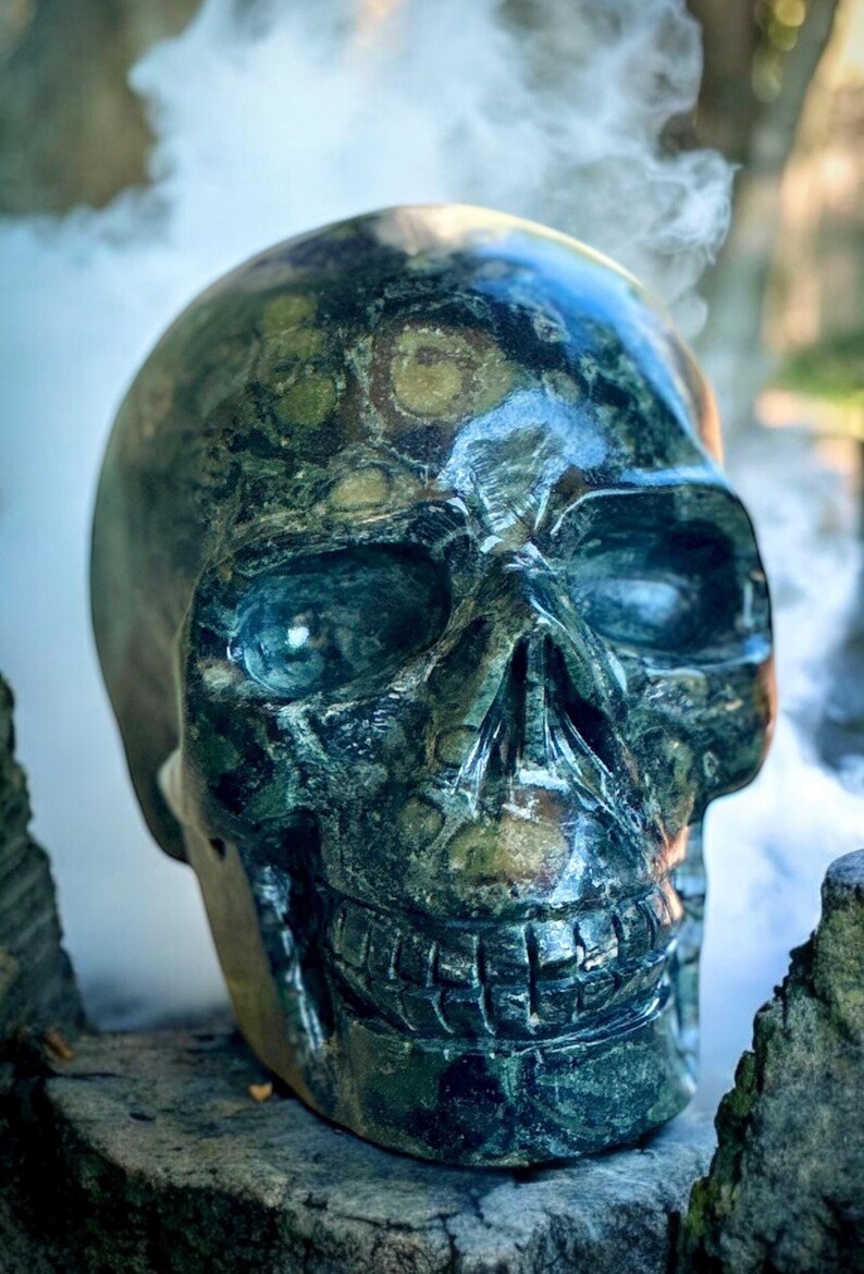 Kambaba Jasper Skull: Orbicular Crystal Carving, Grounding Decor - Etsy