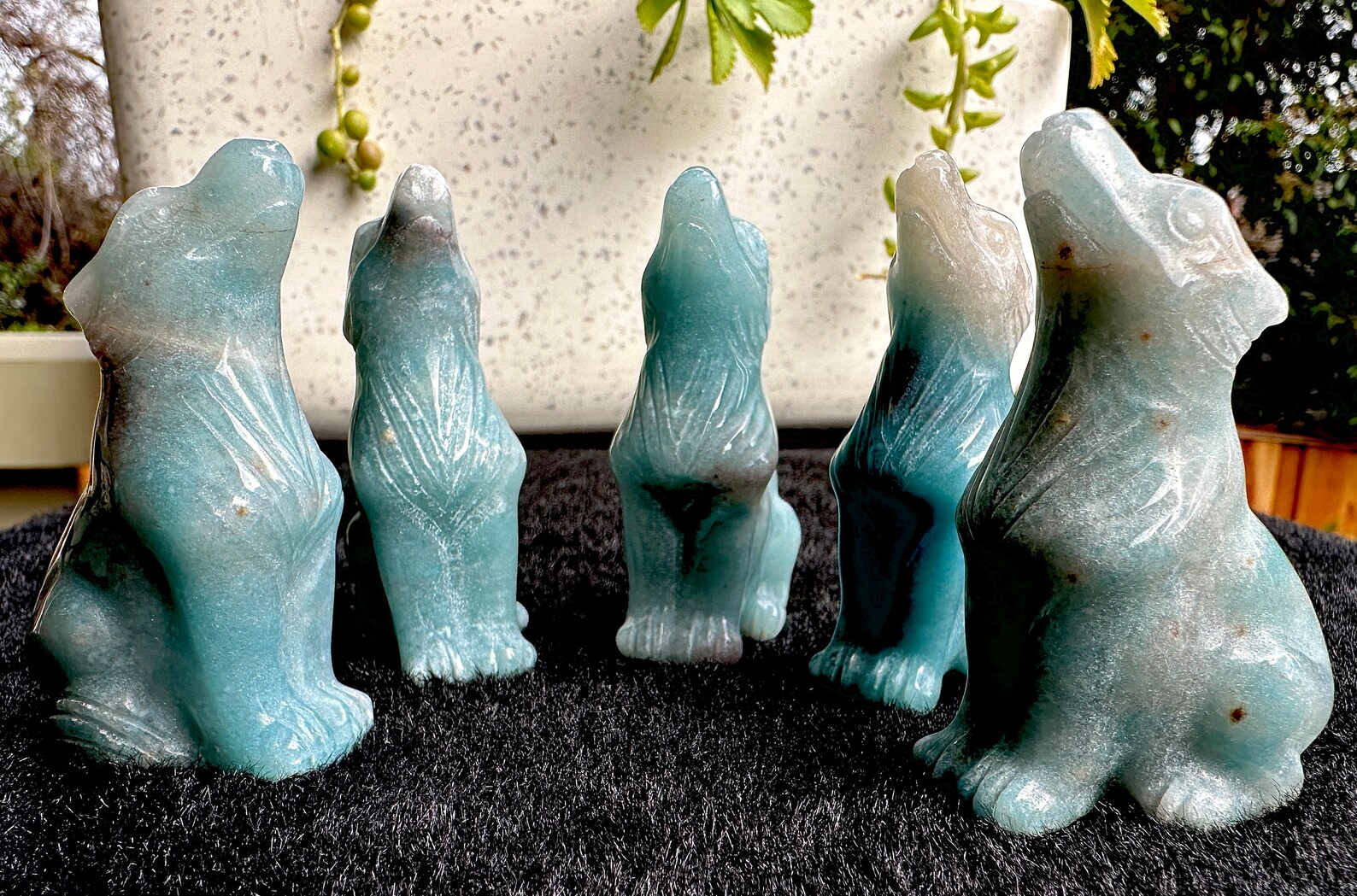 RARE Trolleite Howling Wolves - You Choose - Etsy