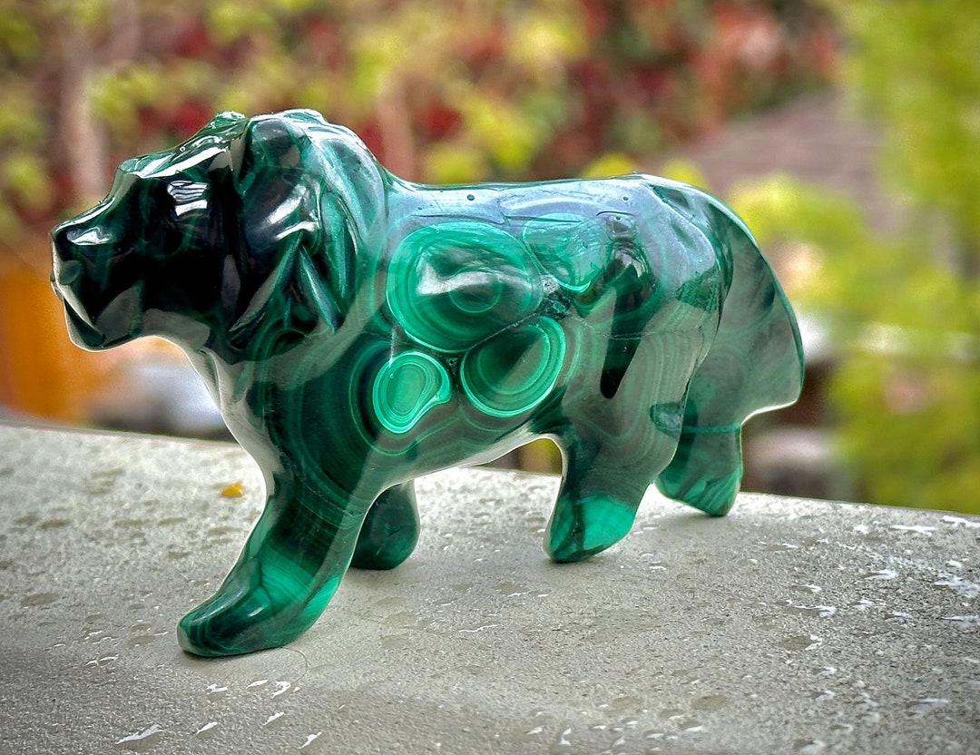 Malachite Lion Carving: Orbicular Banded Crystal Figure - Etsy