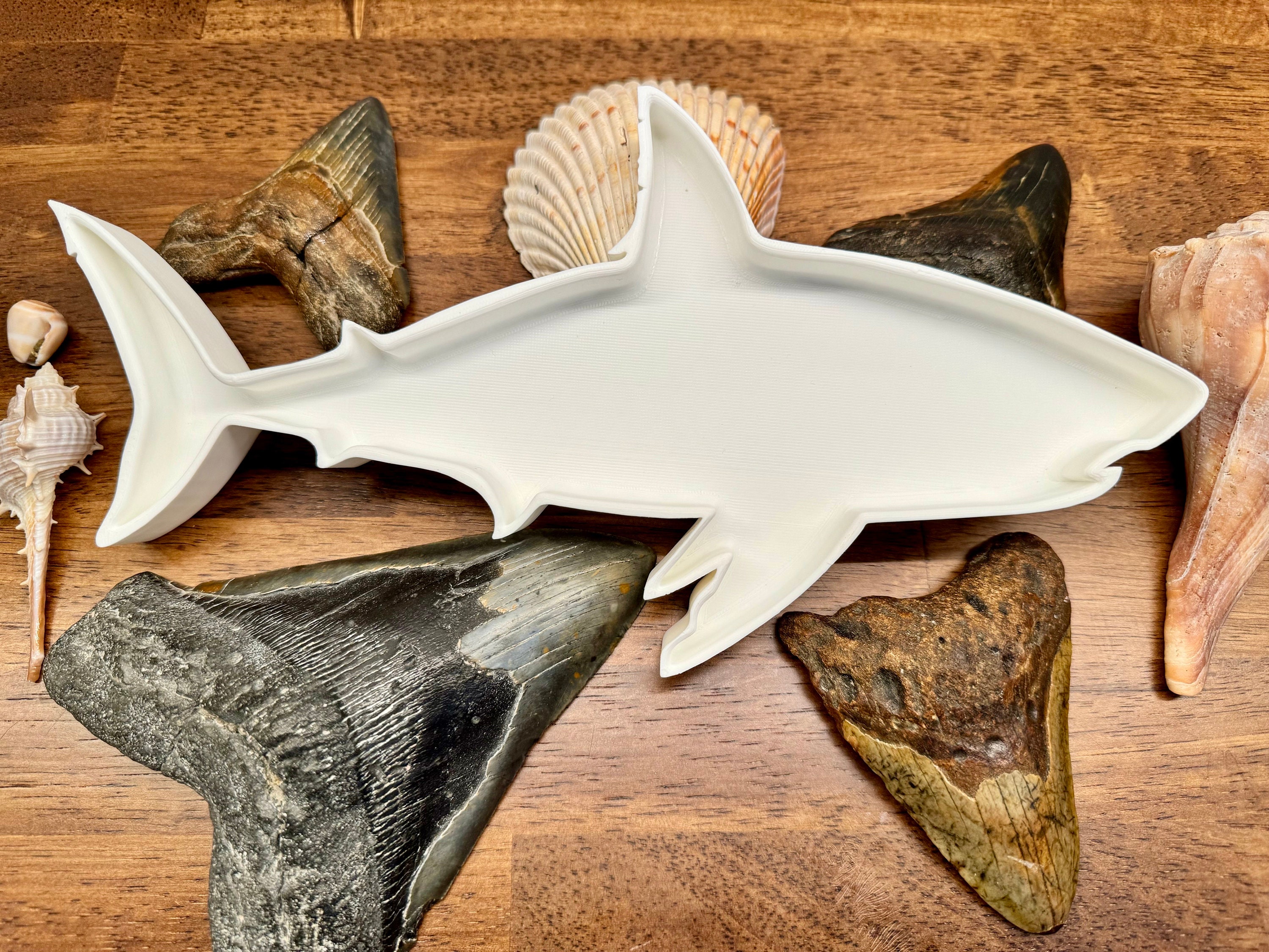 Great White Shark Jewelry Holder: 3D Printed Beach Coastal Decor - Etsy