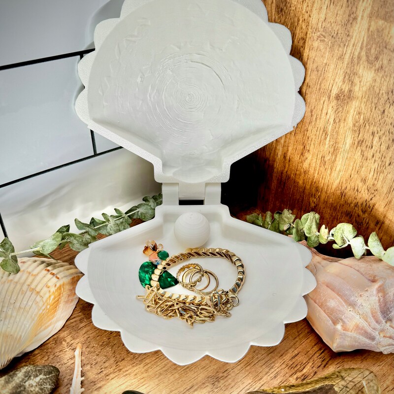 Shell Box - Etsy