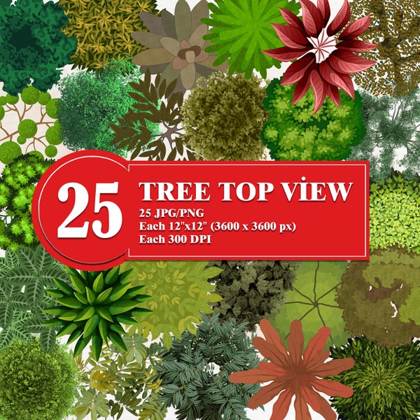 Architecture Tree Vector - Etsy