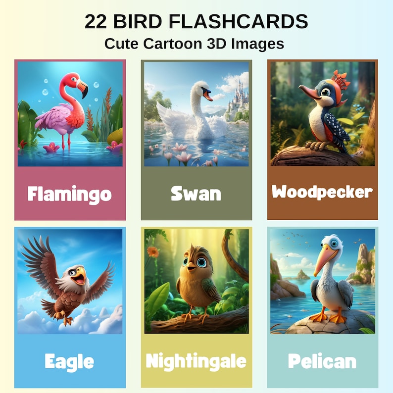 22 Bird FLASH CARDS, Montessori Flashcards, Pre-school Flashcards ...