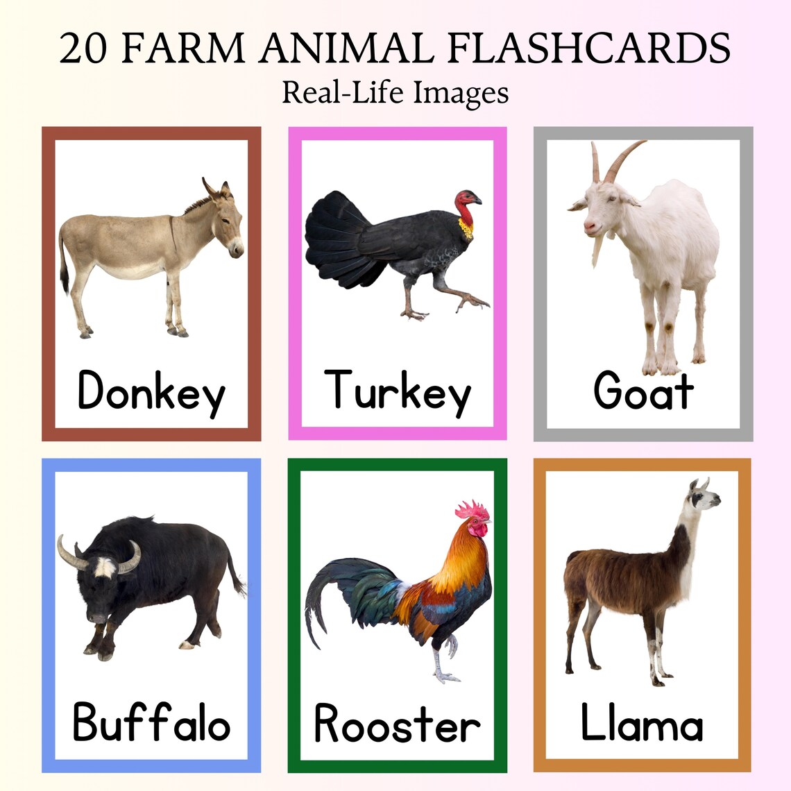20 Farm Animal FLASH CARDS, Montessori Flash Cards, Pre-school ...