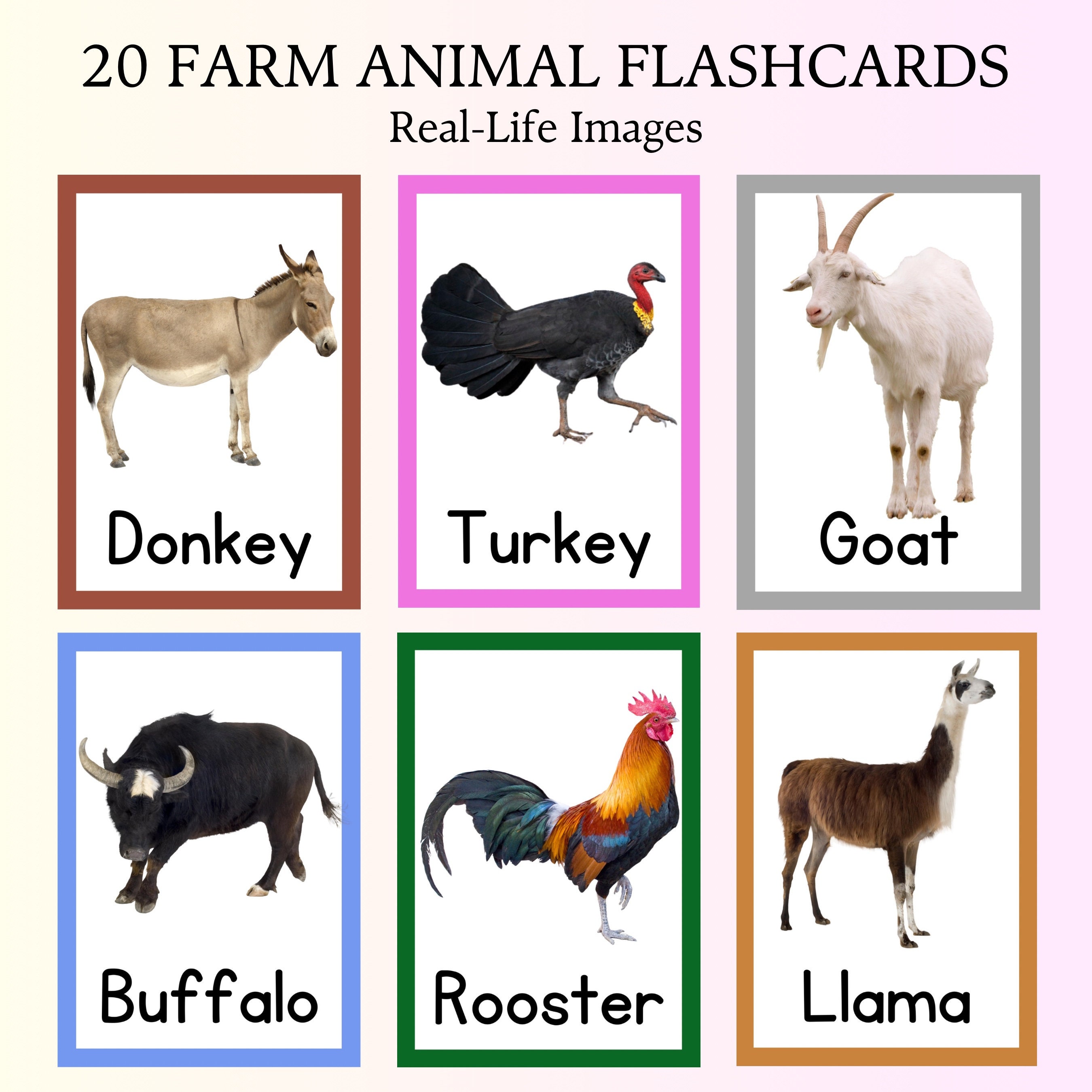 20 Farm Animal FLASH CARDS, Montessori Flash Cards, Pre-school ...