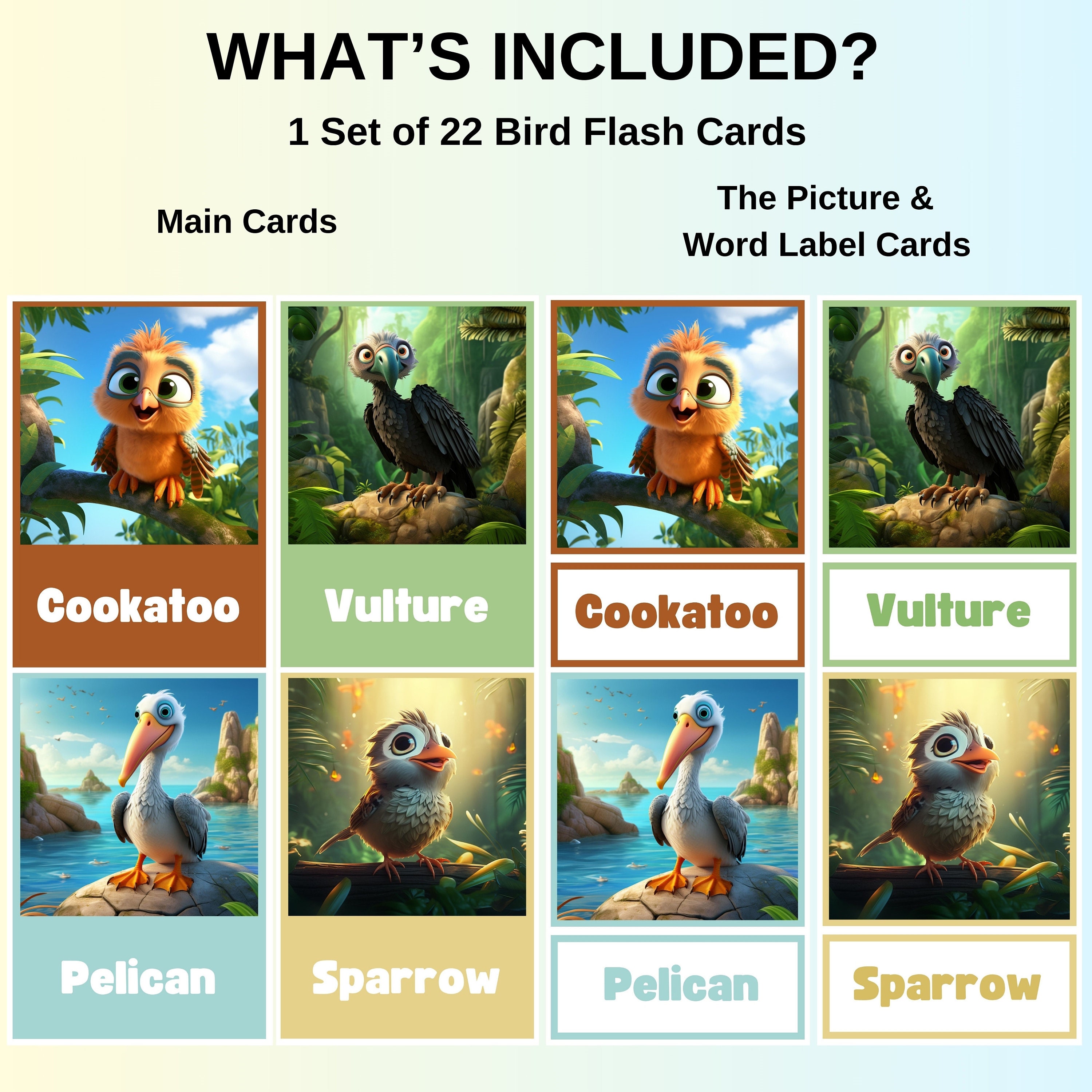22 Bird FLASH CARDS, Montessori Flashcards, Pre-school Flashcards ...