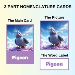 22 Bird FLASH CARDS, Montessori Flashcards, Pre-school Flashcards ...