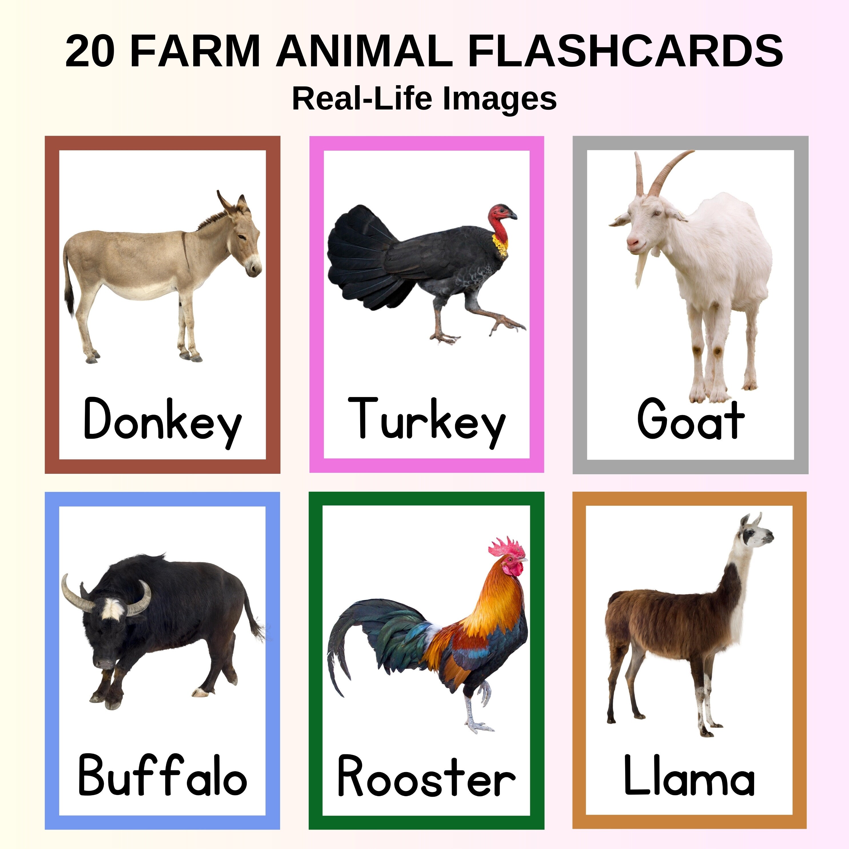 20 Farm Animal FLASH CARDS, Montessori Flashcards, Pre-school ...