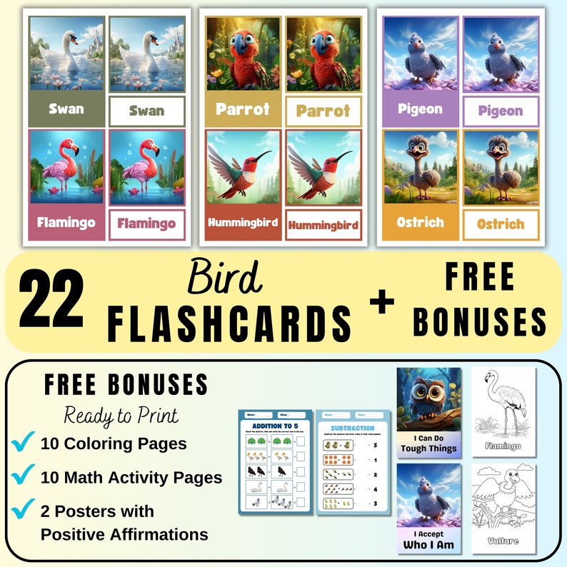 22 Bird FLASH CARDS, Montessori Flashcards, Pre-school Flashcards ...