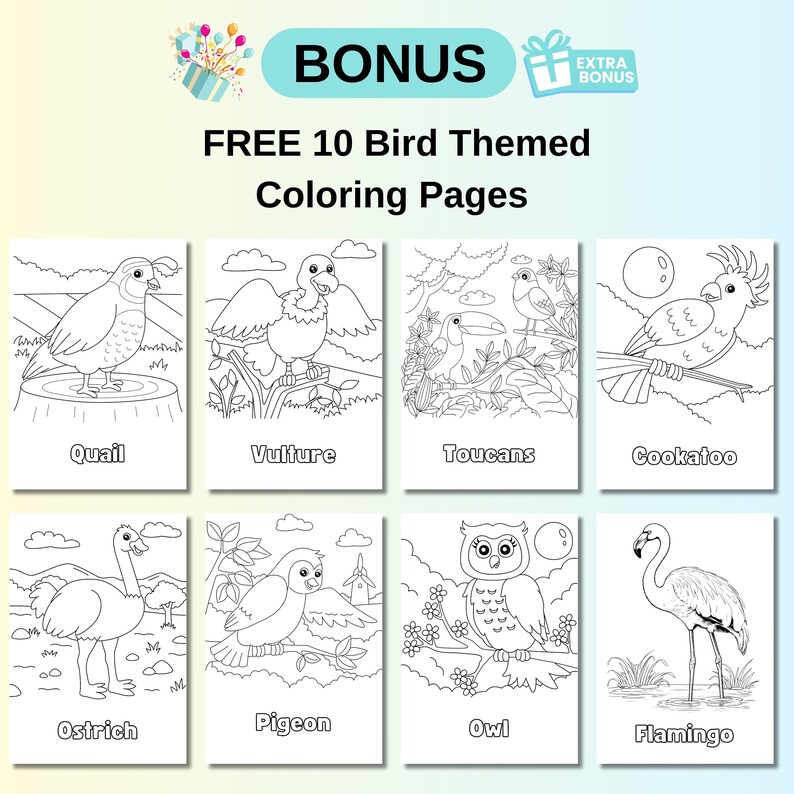 22 Bird FLASH CARDS, Montessori Flashcards, Pre-school Flashcards ...