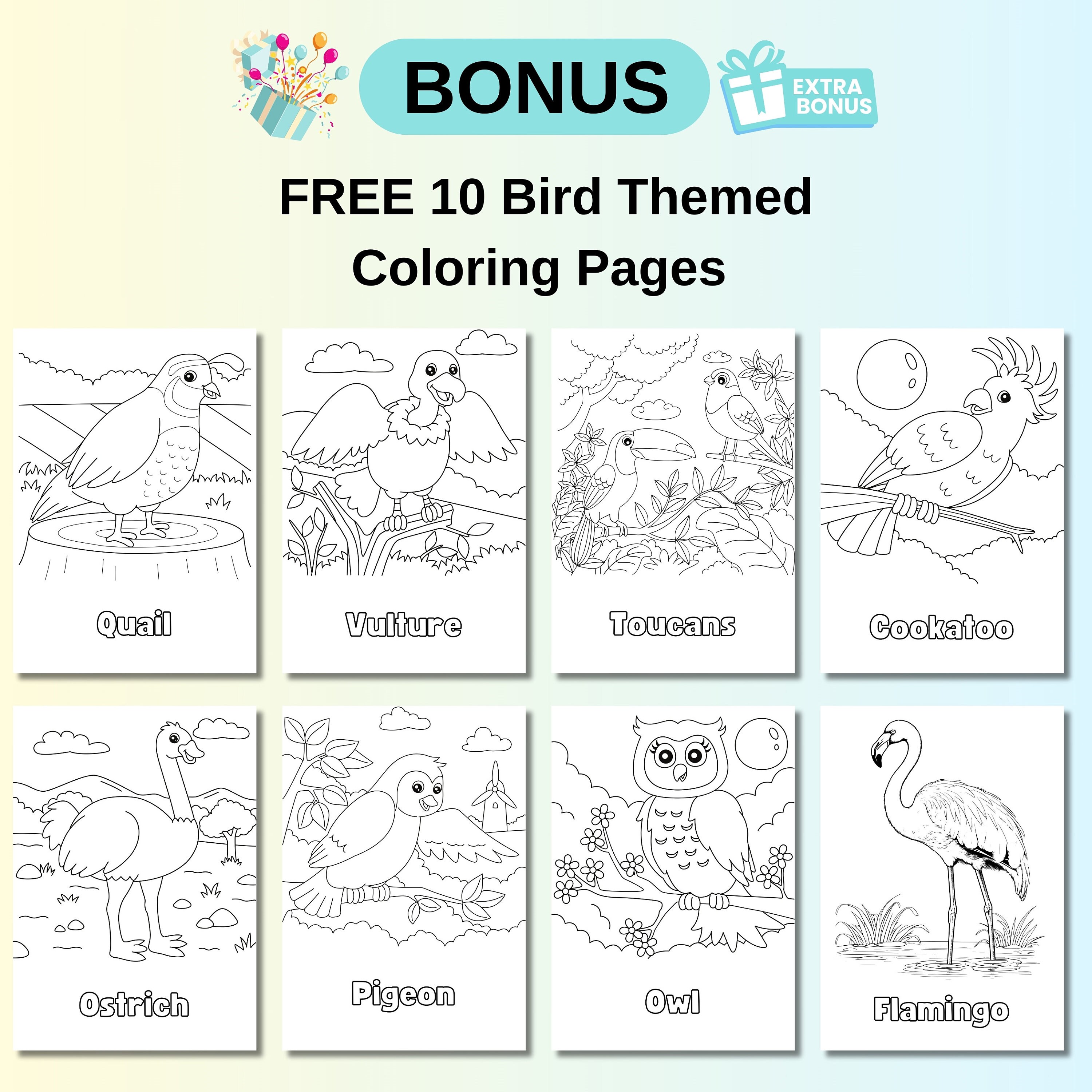 22 Bird FLASH CARDS, Montessori Flashcards, Pre-school Flashcards ...