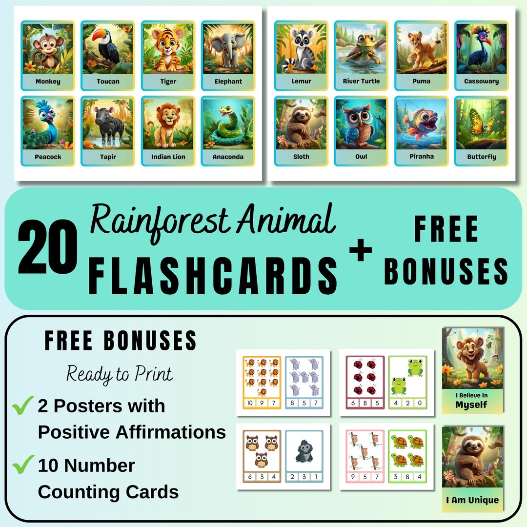 20 Rainforest Animal FLASH CARDS, Montessori Pre-school Flashcards ...