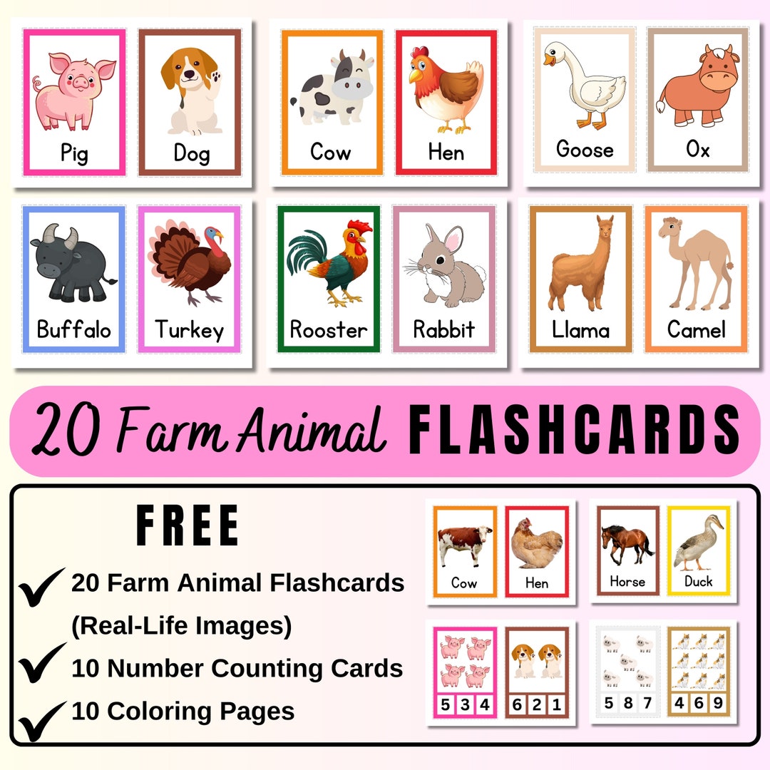 20 Farm Animal FLASH CARDS, Montessori Flashcards, Pre-school ...